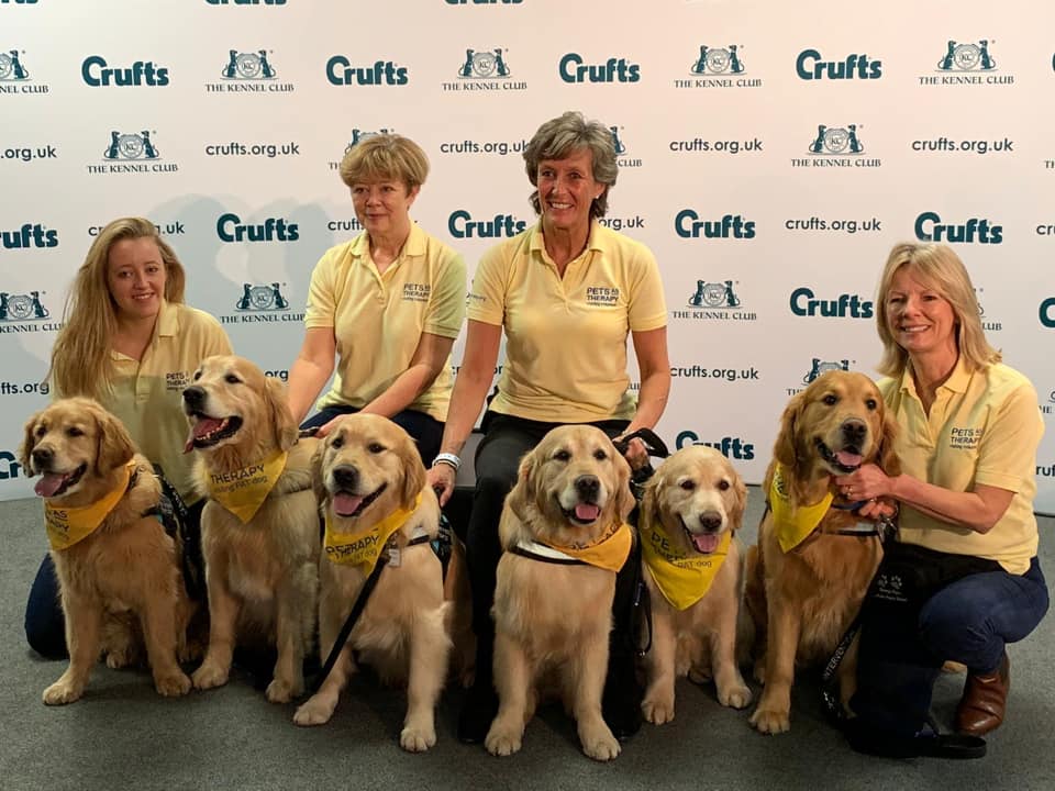 The Golden Retriever Club UK | GRC Home