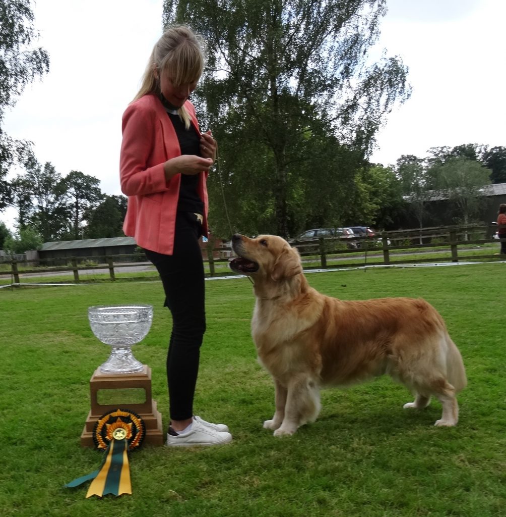 2021 Ch Sh | The Golden Retriever Club UK | GRC