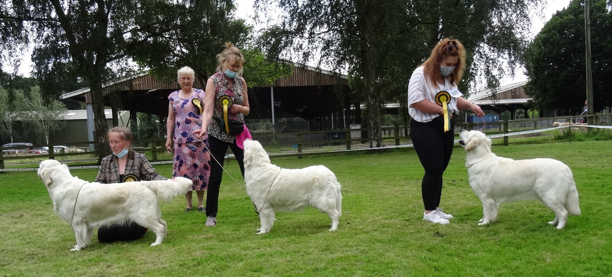 2021 Ch Sh | The Golden Retriever Club UK | GRC