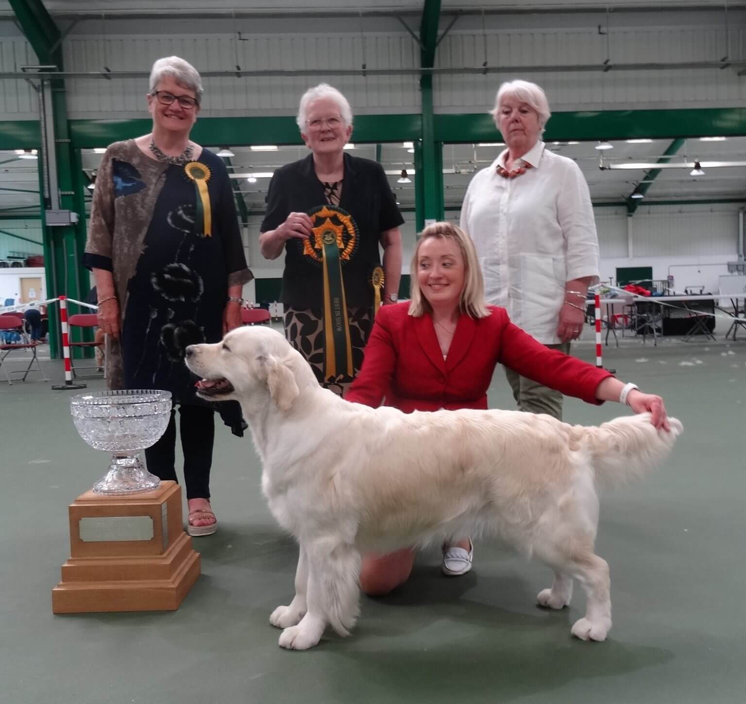 2023 Ch Sh | The Golden Retriever Club UK | GRC