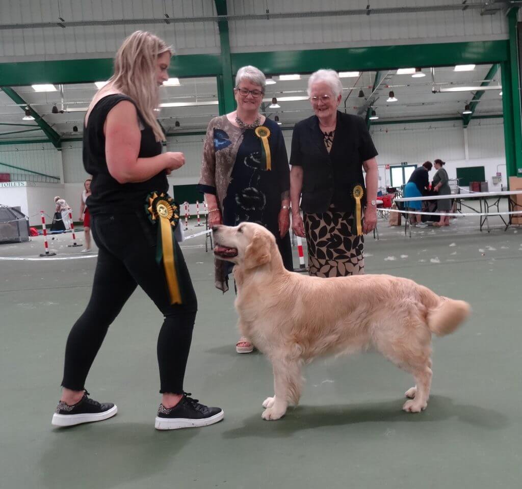 2023 Ch Sh | The Golden Retriever Club UK | GRC