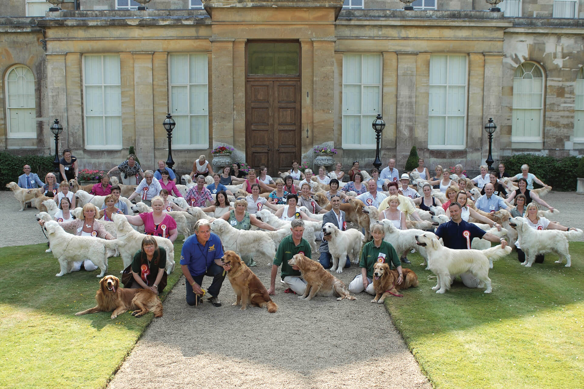 The Golden Retriever Club UK | GRC Home