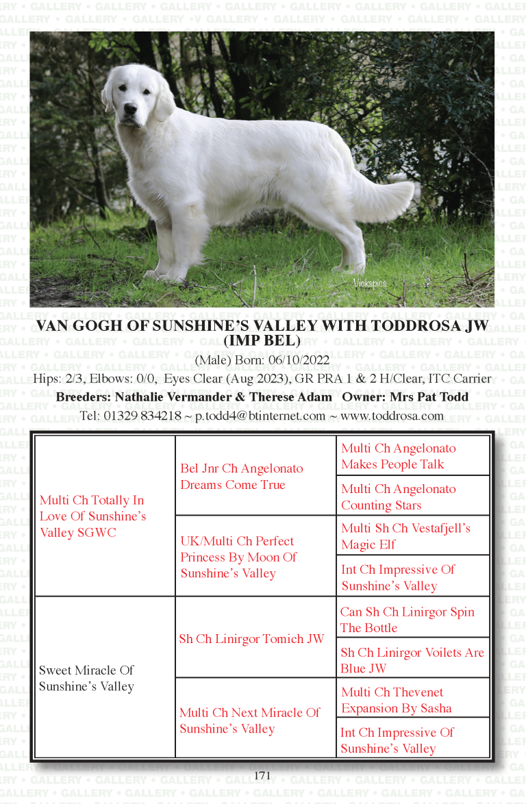 The Golden Retriever Club UK | GRC Home